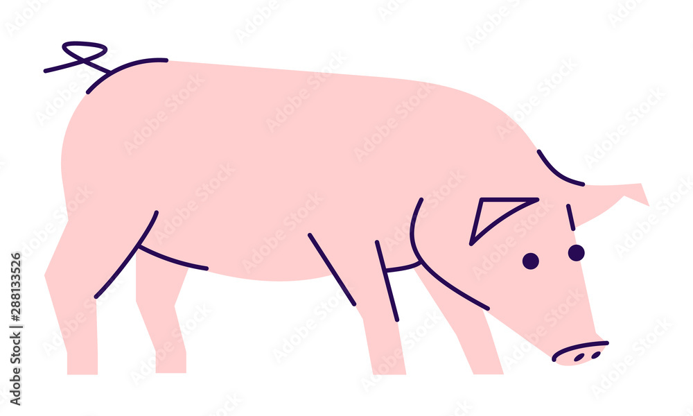 Cartoon Pig Side View