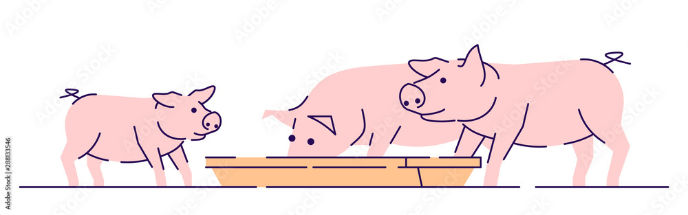 Pink pigs feeding flat vector illustration. Livestock farming, animal ...