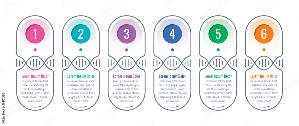 dna chain and infographic template. scientific information design. six ...