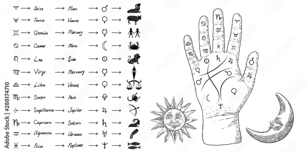 Fortune teller hand with Palmistry diagram and zodiac constellations. Magic alchemy spirituality ...