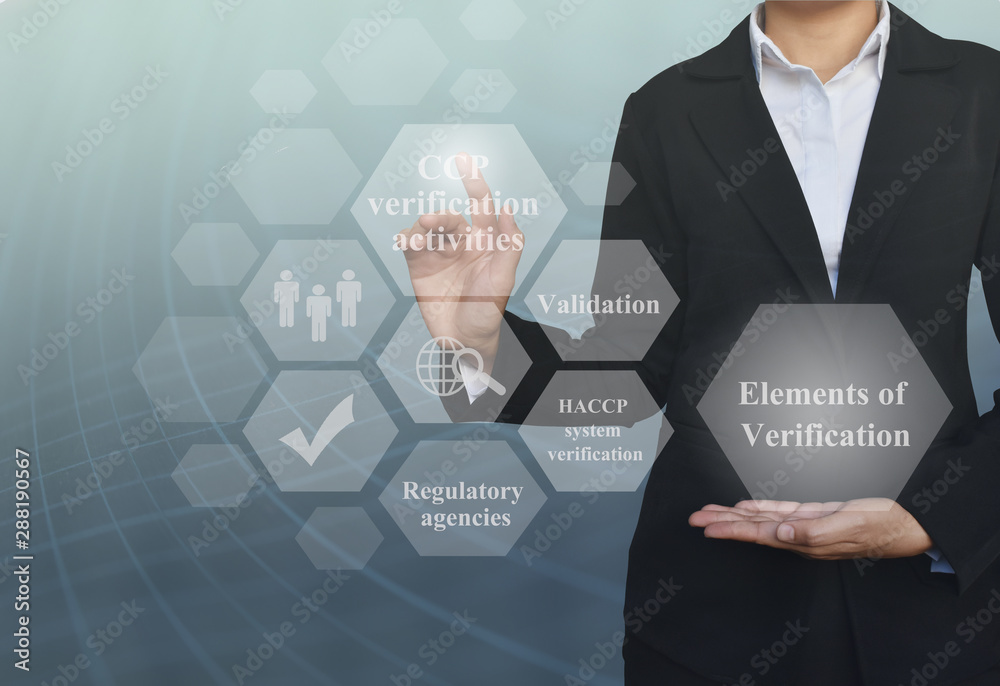 Businesswoman with presentation element of Elements of Verification for ...