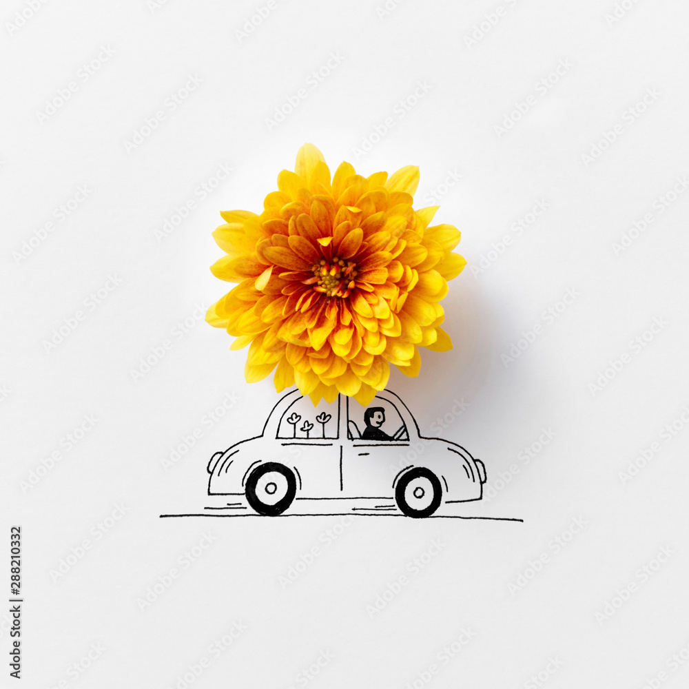 Beautiful natural orange flower decorating Drawing a car on a gr Stock ...