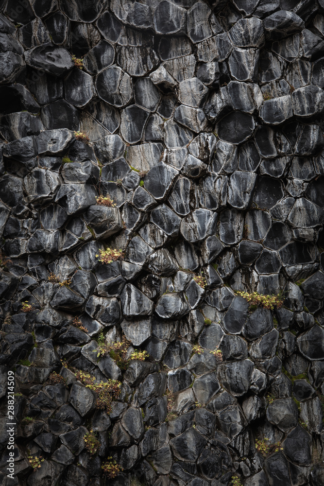 Basalt details Stock Photo | Adobe Stock