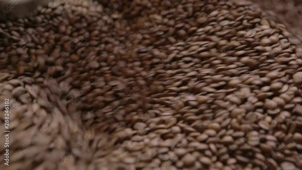 Production of fresh fried coffee beans roasting factory process. Coffee ...