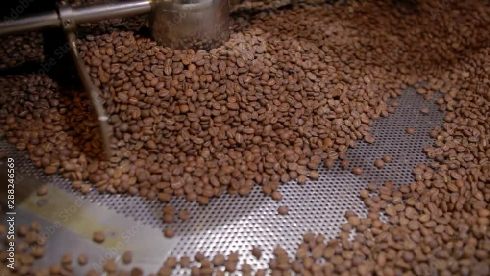 Production of fresh fried coffee beans roasting factory process. Coffee ...