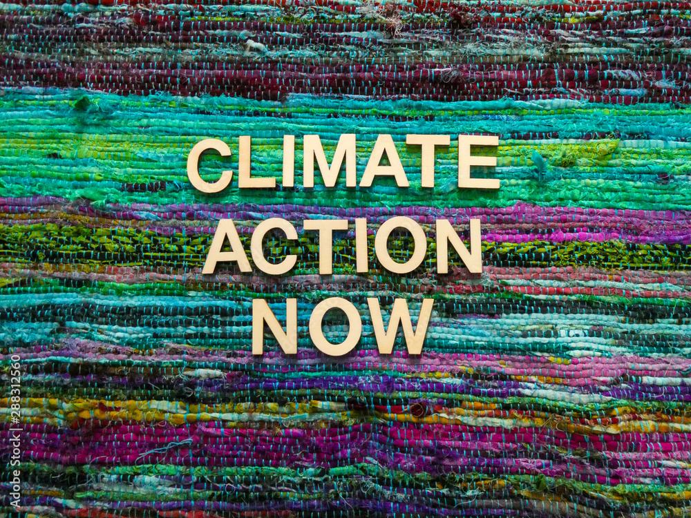 Wooden calligraphy letters with the words "CLIMATE ACTION NOW" make a ...
