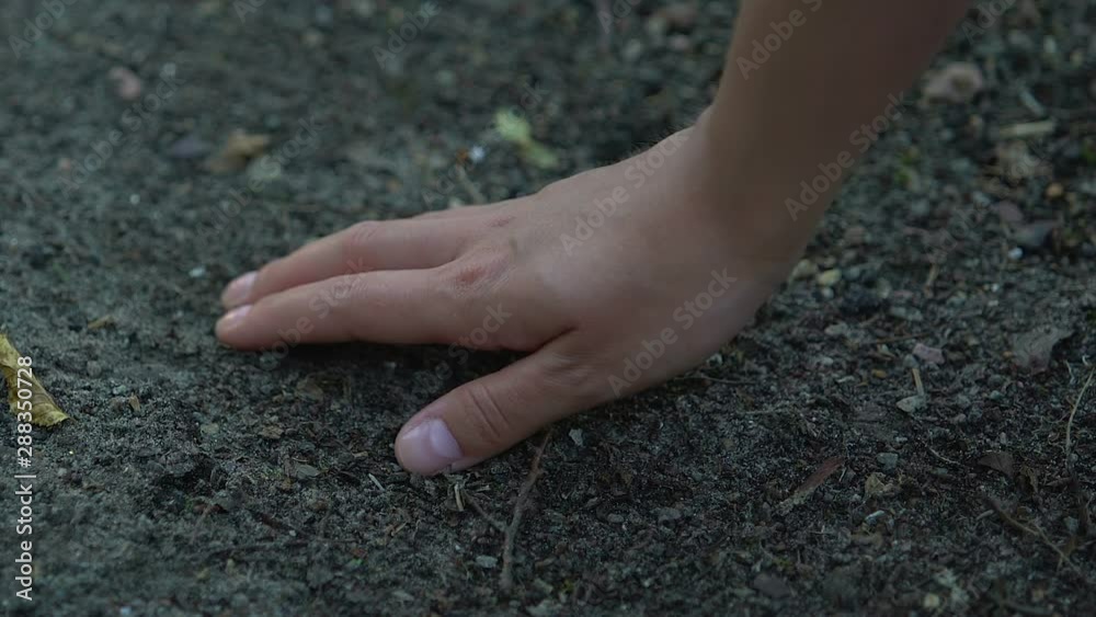 Hand grabbing ground dirt in woods, soil depletion and pollution ...