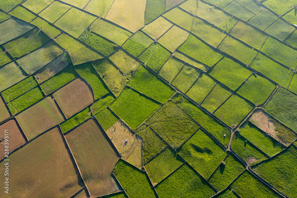 Foto de aerial views on the typical abstract countryside of the east of ...