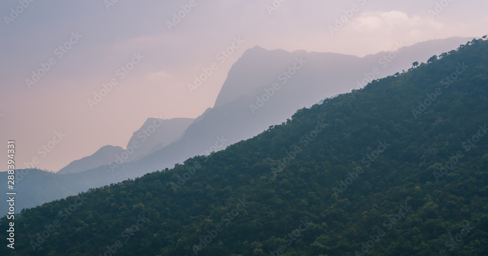 Cardamom Hills on the border Kerala and Tamil Nadu. A part of the ...