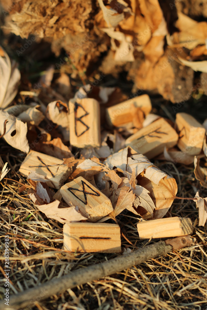 View of the scattered runes that lie on yellow leaves and dry grass ...