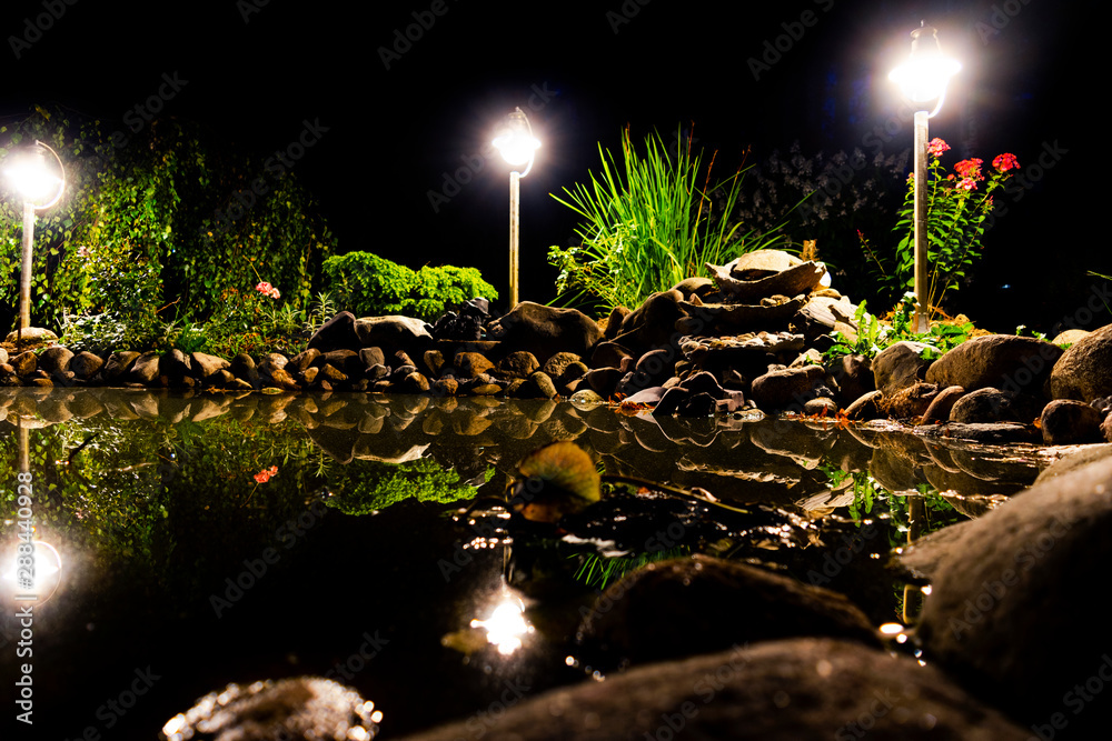 Garden pond at night. Illuminated pond shore in a night. Garden fish ...