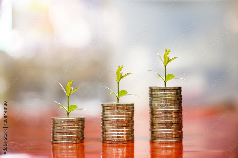 step of coins stacks with tree growing on top, nature background, money ...
