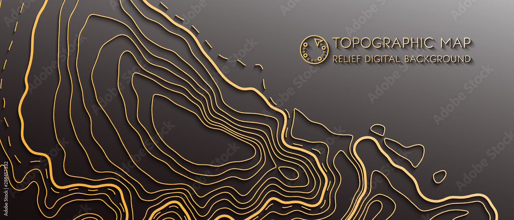 Poster Map line of topography – Wall Art | UkPosters
