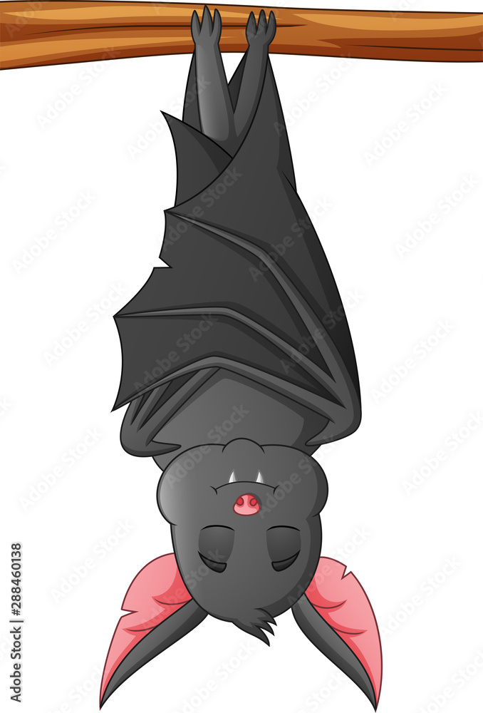 Cartoon bat Sleeping hanging from tree. vector illustration Stock ...