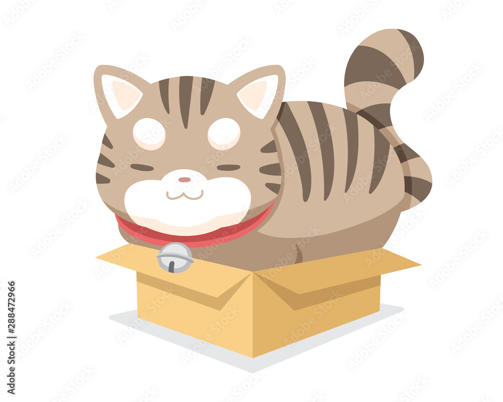 Cute chubby cat sitting box cartoon illustration Stock Vector | Adobe Stock