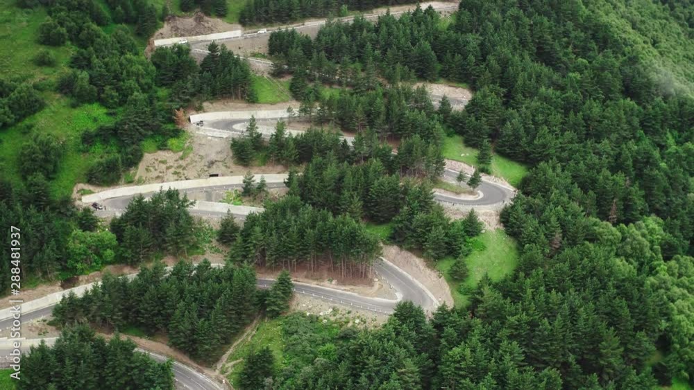 Cars driving on serpentine winding road through lush dense spruce ...