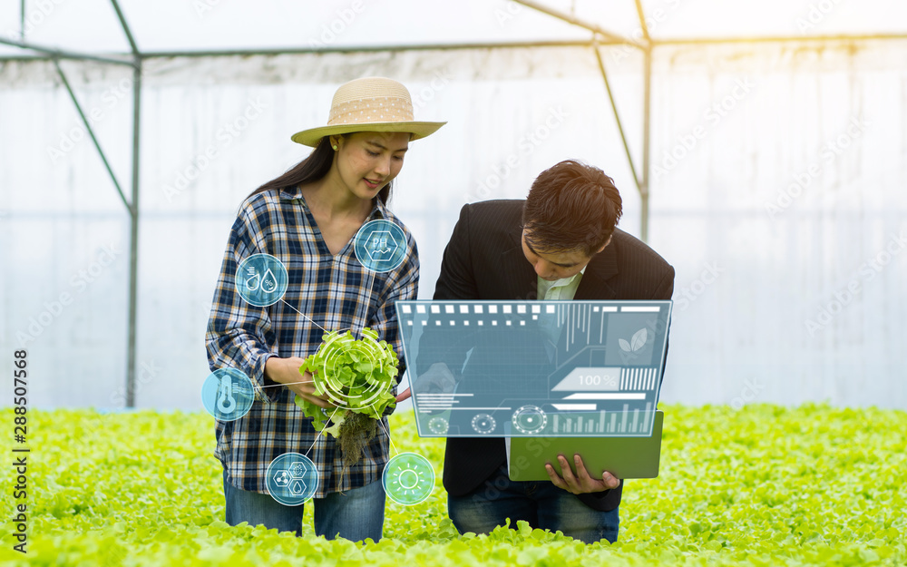 Hydroponic farm with technology, researcher, agricultural expert ...
