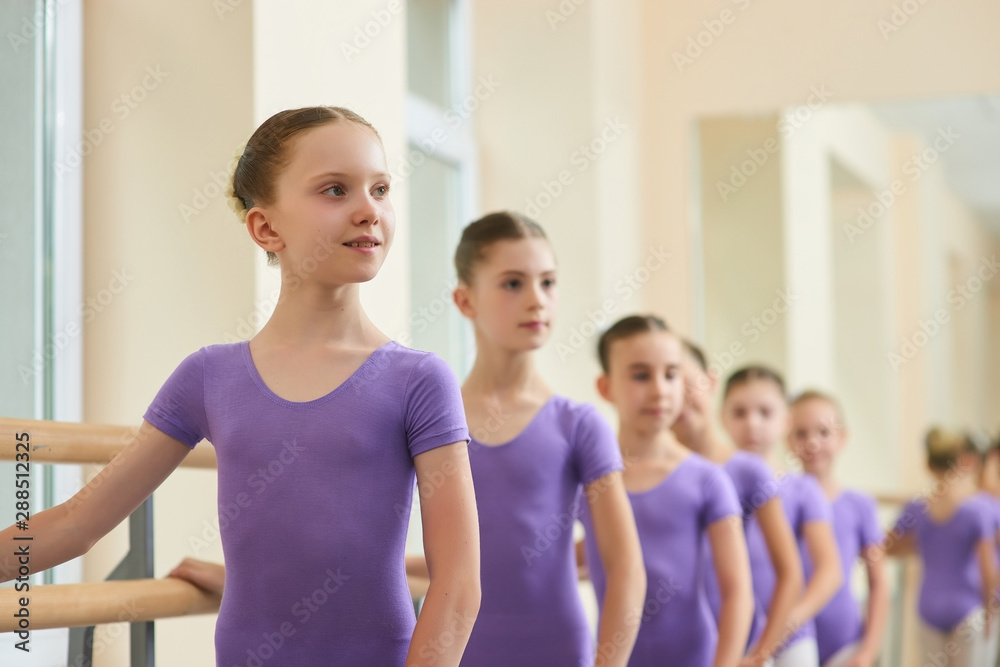 Young ballet performers at ballet school. Group of cute ballet girls ...