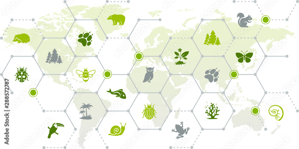 international wildlife / biodiversity icon concept – endangered animals ...