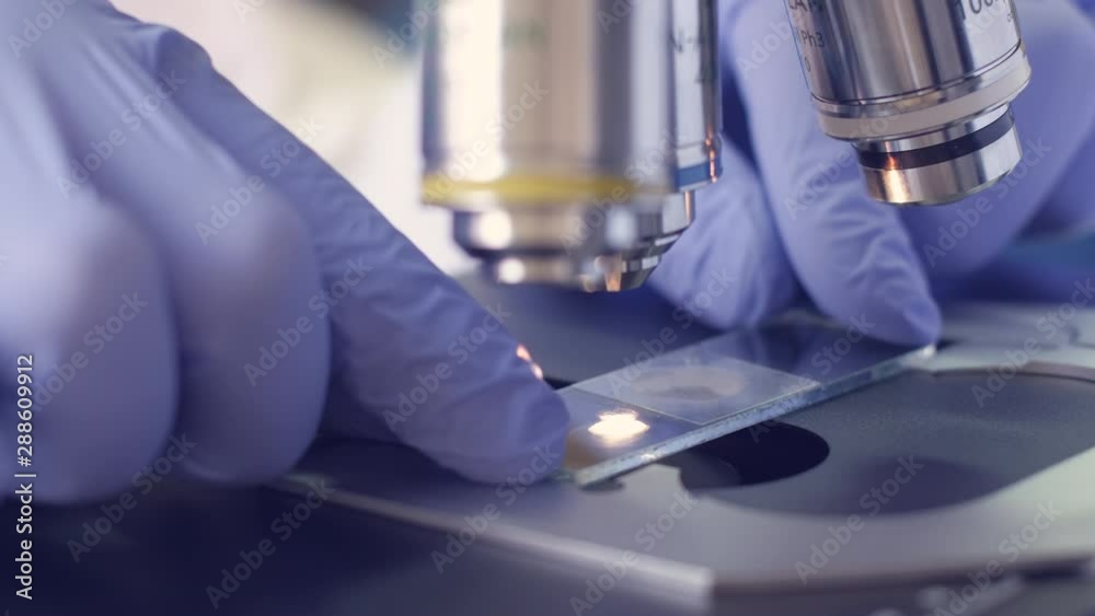 Sample preparation for microscopic examination. A close-up of a ...