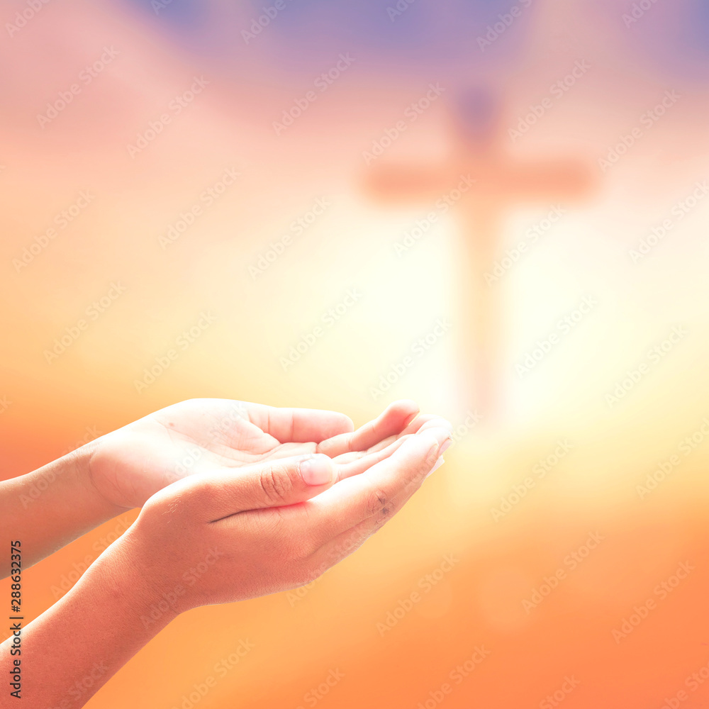 Praying Hands With Cross Wallpaper
