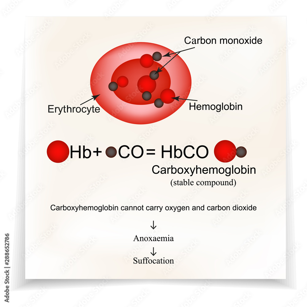 Carboxyhemoglobin. Joining the hemoglobin carbon monoxide. Carbon ...