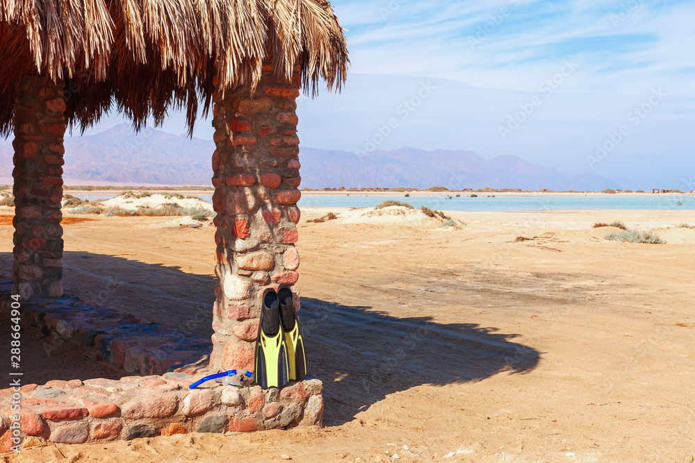 Red Sea coast and mangroves in the Nabq National Park. Snorkeling ...