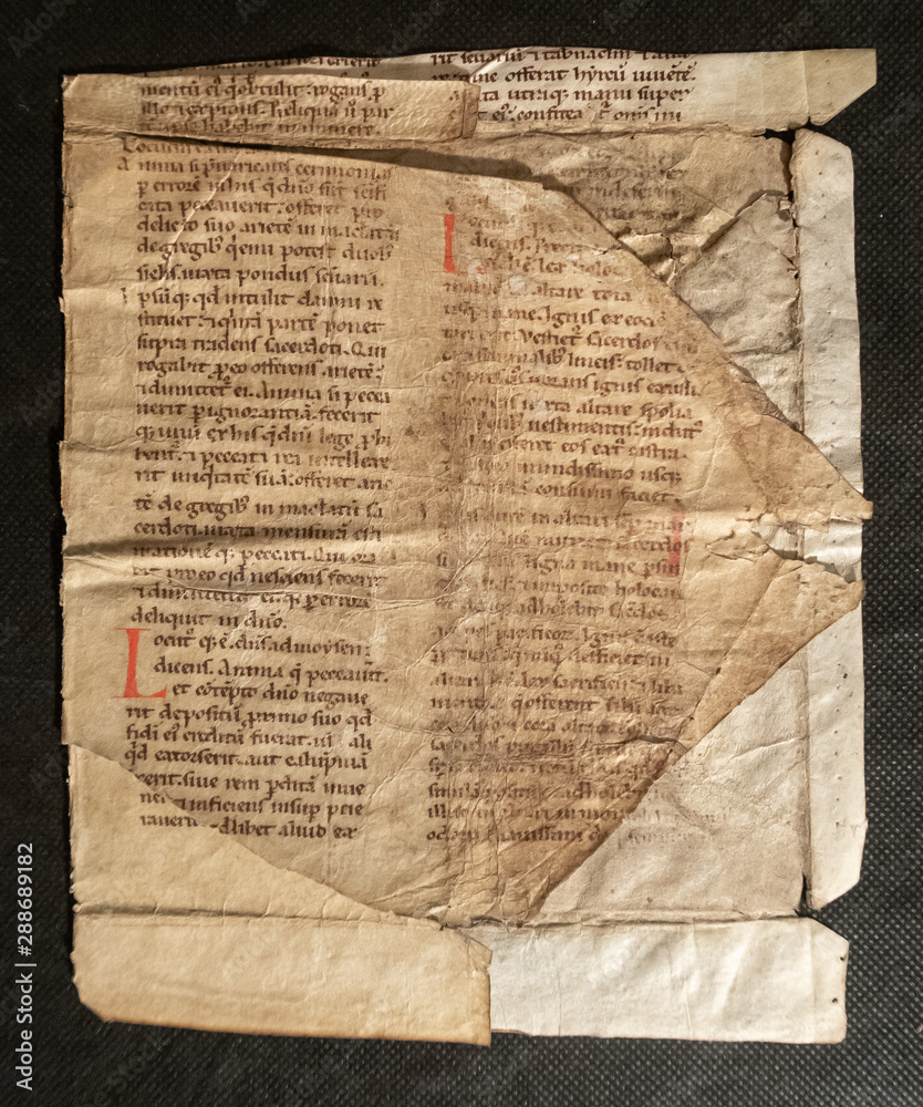 C12th twelfth century MSS manuscript fragment of the Book of Numbers ...