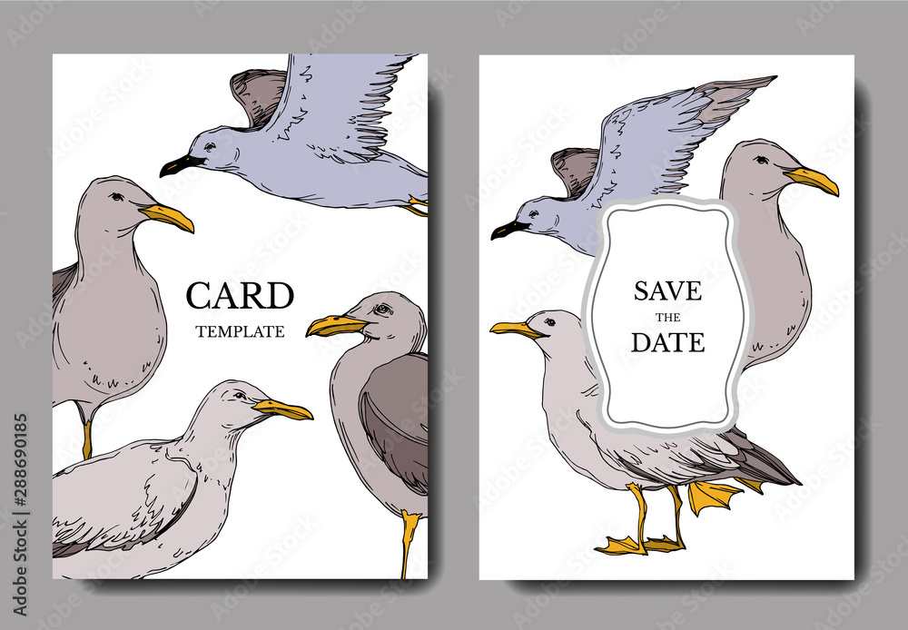 Vector Sky bird seagull in a wildlife. Black and white engraved ink art ...