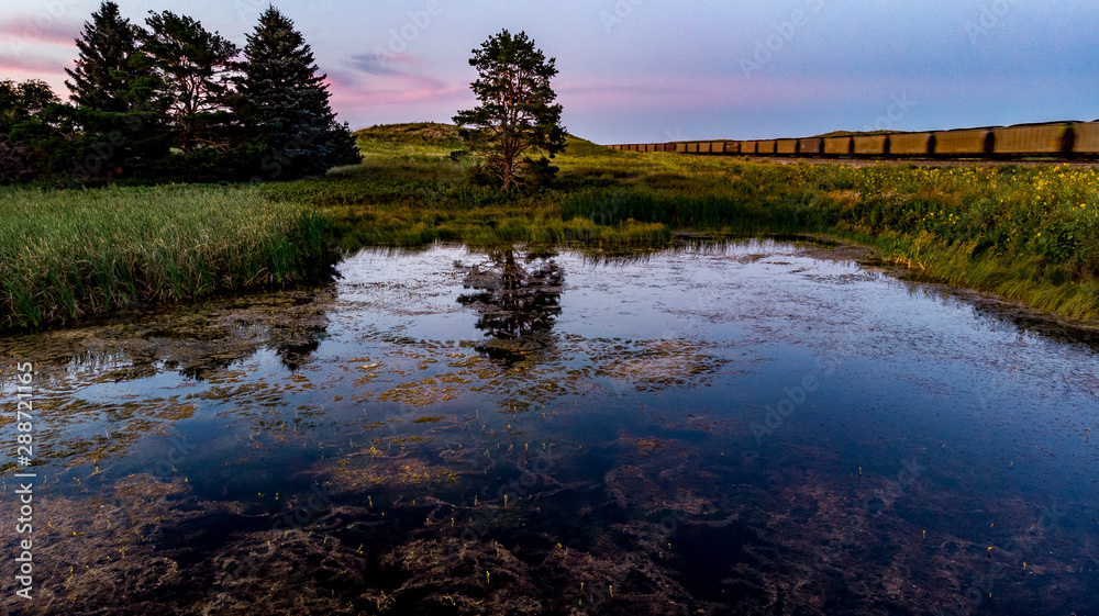 Nebraska wetland and livestock pond with moss and algae. Stock Photo ...