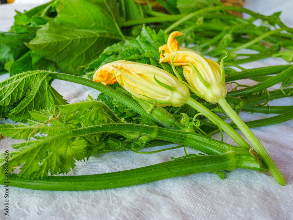 the Talli are the leaves, the flowers, the shoots and the small fruits ...