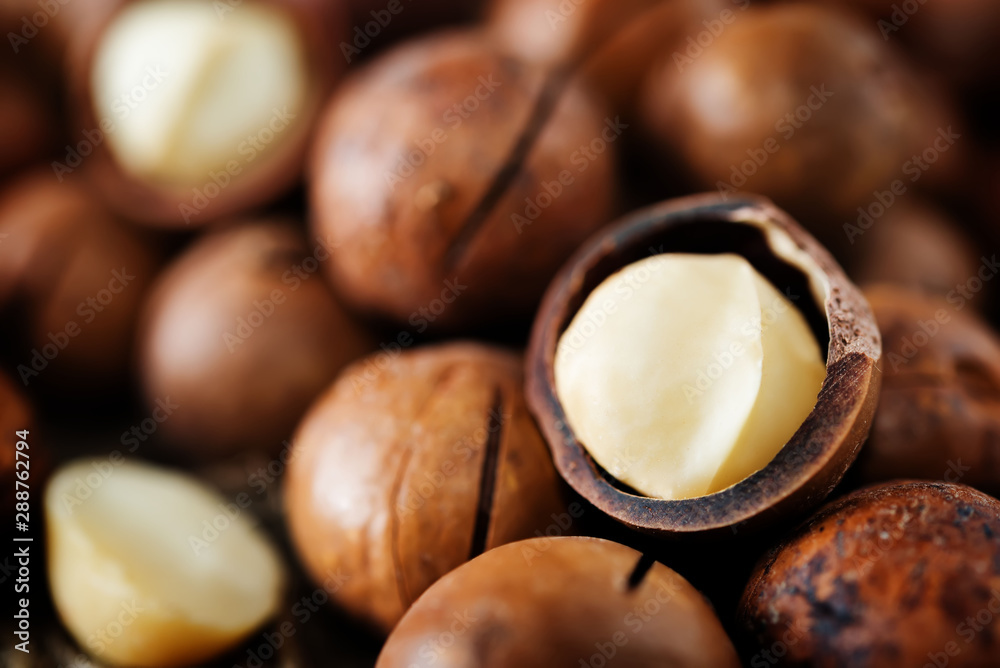 macadamia nuts Stock Photo | Adobe Stock
