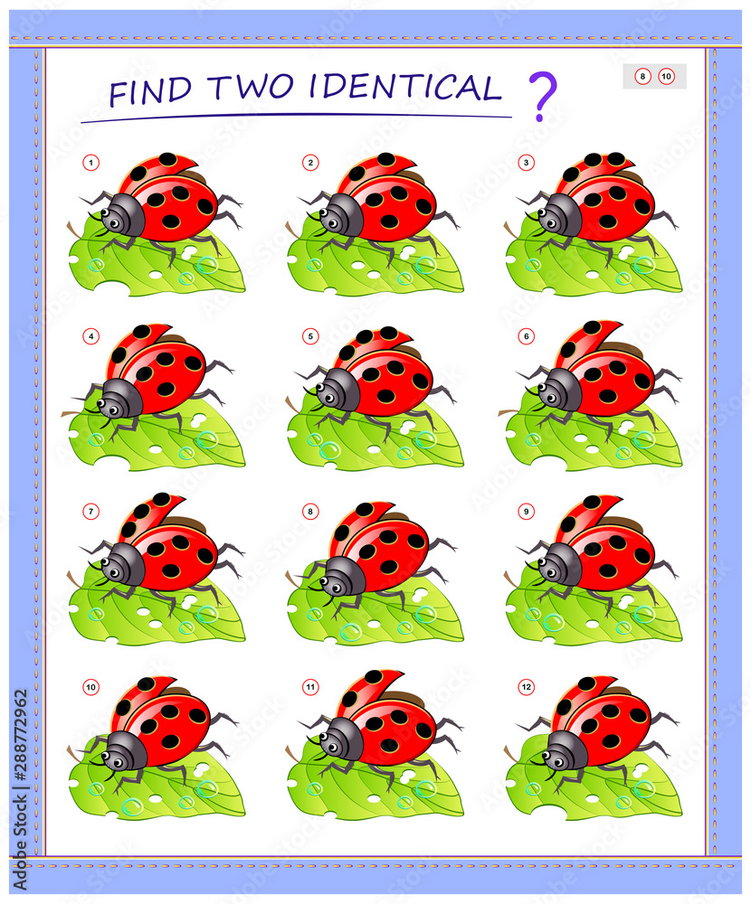 Vetor de Logical puzzle game for little children. Need to find two ...