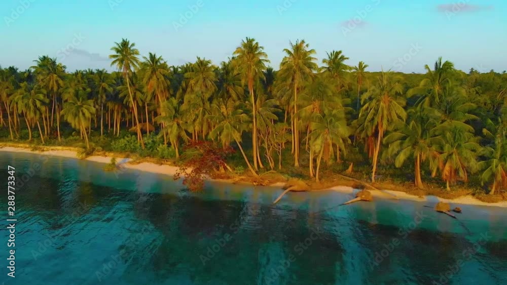 Aerial landscape of tropical coast and palm trees line up along along ...