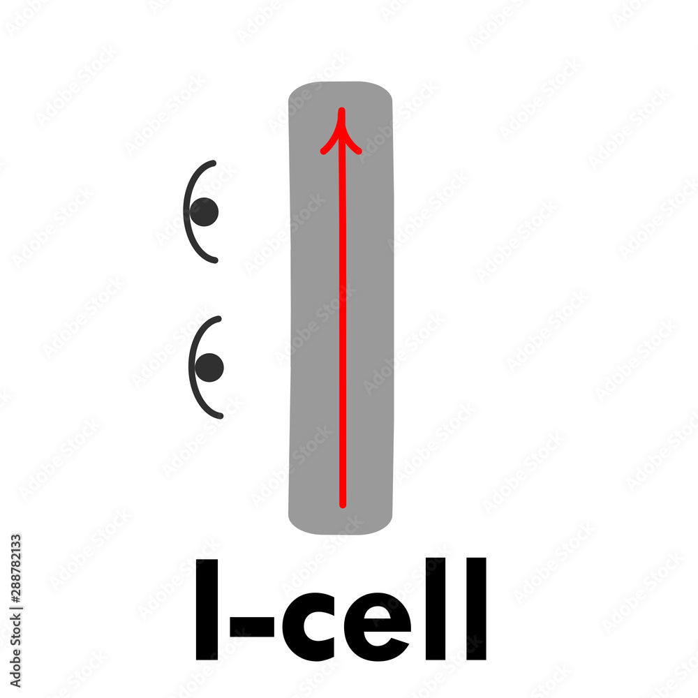 Lean manufacturing flat icon with illustration of areas of lean ...