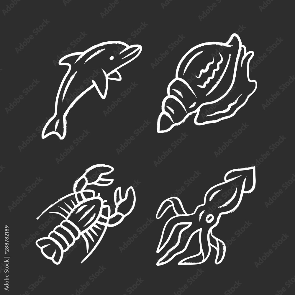 Ocean animals chalk icons set. Dolphin, squid, lobster, triton ...