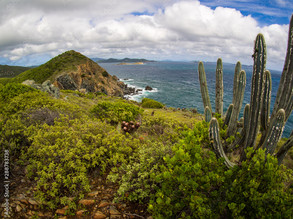 Island Landscape, Rocky Peninsula, St. John, Virgin Islands Stock Photo ...