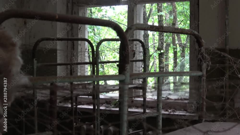 Kopani village, Chernobyl, Ukraine - 8th of August 2019: Visit to ...