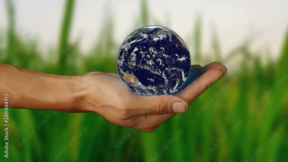 Female hand holding a realistic Earth. Holding the world in your hand ...