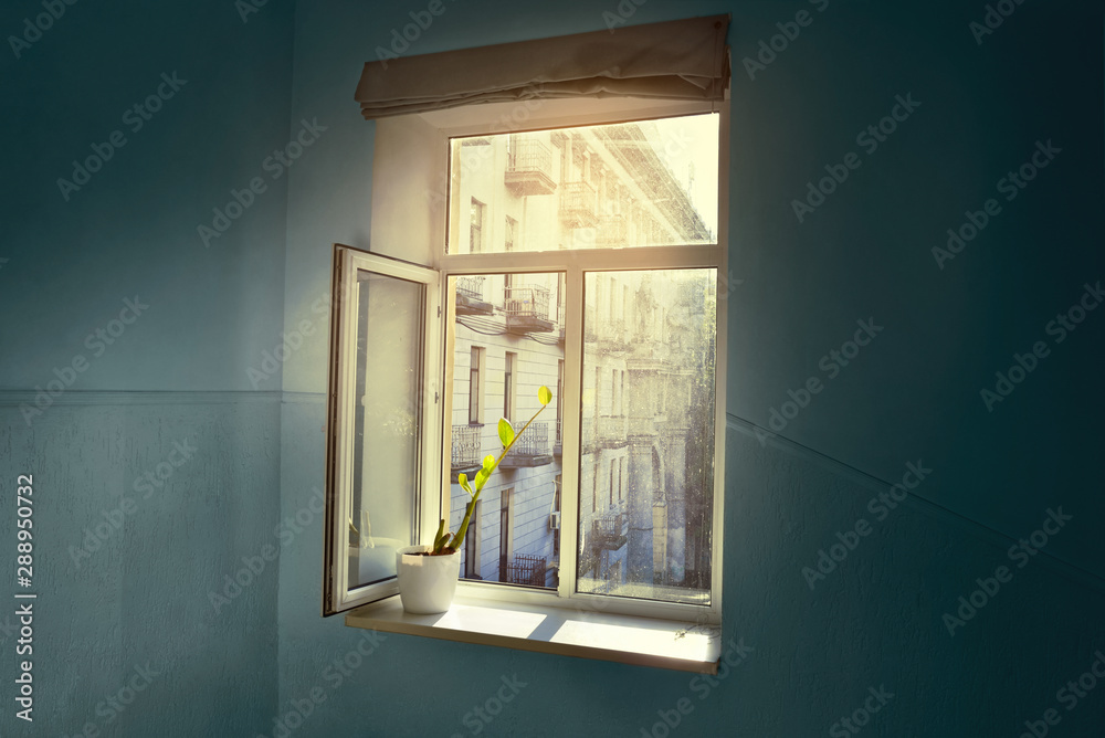 Open window in a dark room and a lonely indoor plant on the ledge ...