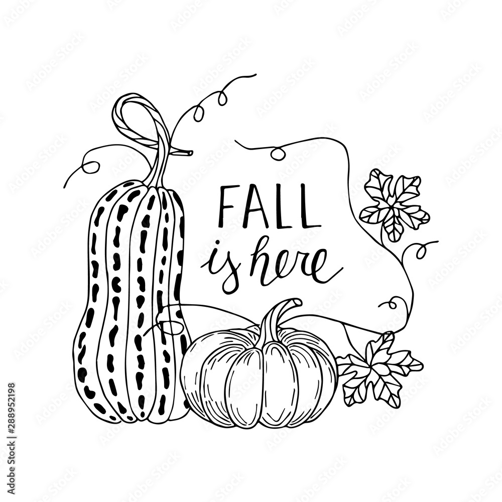 Fall is here lettering. Pumpkins and leaves. Hand drawn coloring page ...