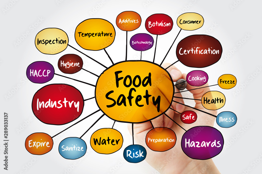 Food safety mind map flowchart with marker, concept for presentations ...