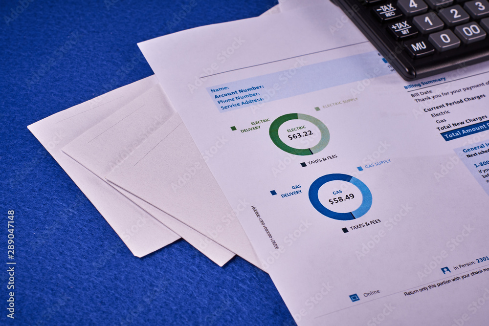 Communal payments. Pie charts gas and electric supply record in the ...