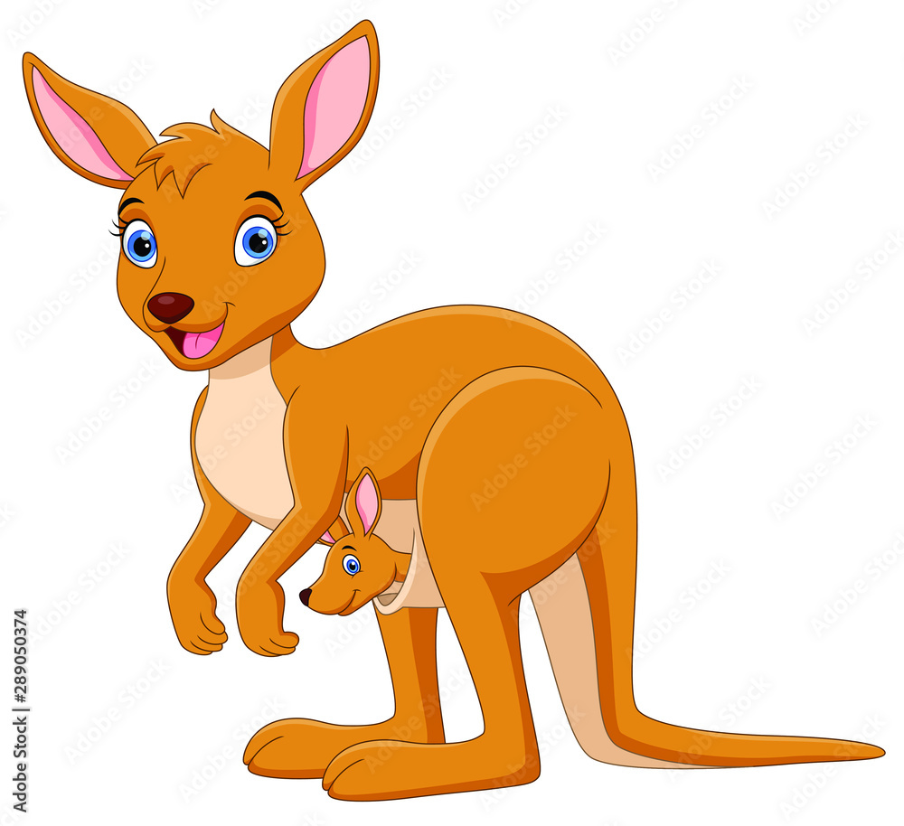 Cartoon mother kangaroo with a cute baby isolated on white background ...