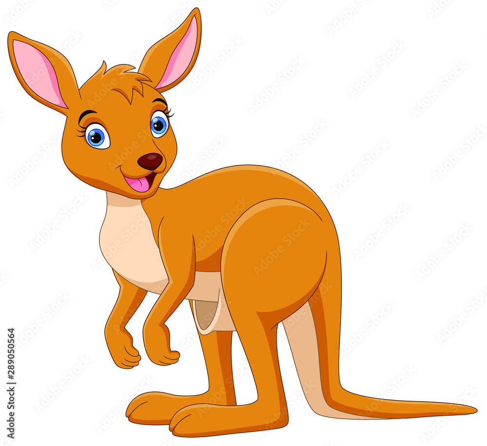 Vector illustration of Cute kangaroo cartoon isolated on white ...