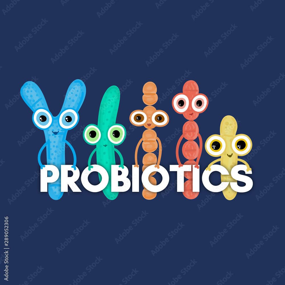 Probiotics. Lactic acid bacterium. Bifidobacterium, lactobacillus ...