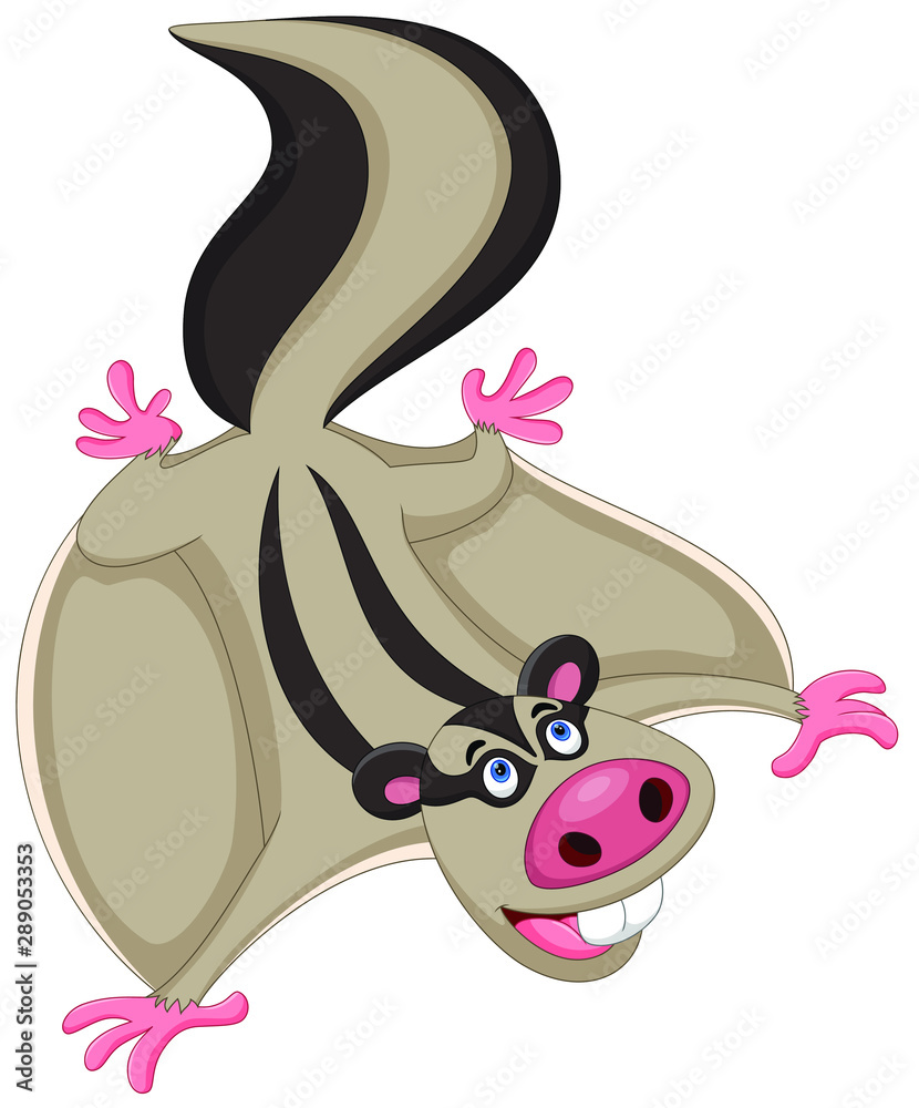 Flying squirrel cartoon isolated on white background Stock Vector ...