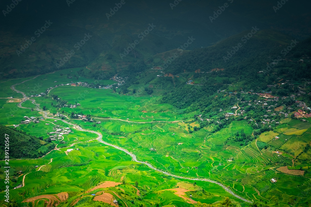 Aerial view on the rice fields of Tu Le valley, between Nghia Lo and Mu ...