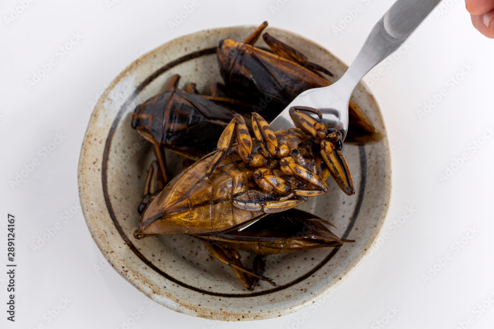 Food Insects: Giant Water Bug for eating as food. Insect items cooking ...