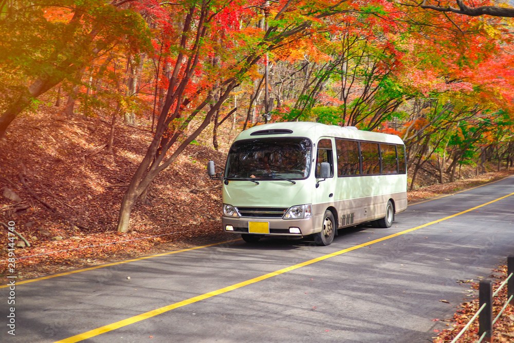 Tourist walking and Shuttle bus passing main road with scenery red and ...